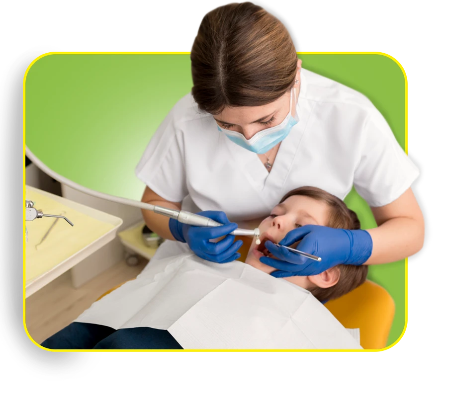 Meet Our Expert Dental Team